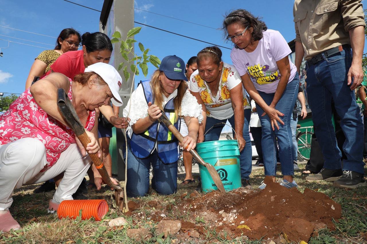 Mérida se viste de verde: arranca la Cruzada Forestal 2025 con meta de ...